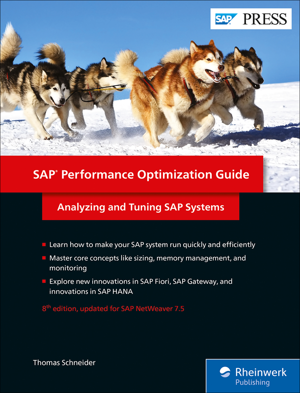 Sap Performance Optimization Guide Analyzing And Tuning Sap Systems Projects Книги Sap 8038