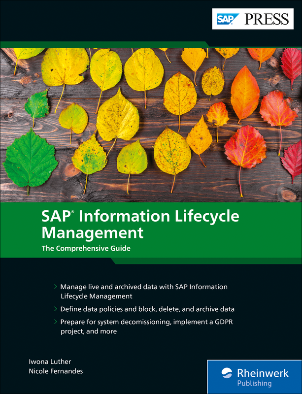 SAP Information Lifecycle Management. Всеобъемлющее руководство ...